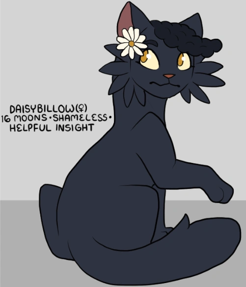 Daisybillow | Unofficial GalaxyClan Wiki | Fandom