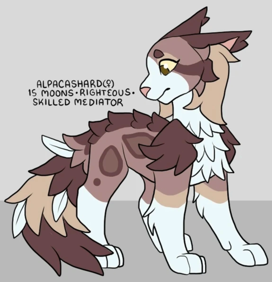 Alpacashard Unofficial Galaxyclan Wiki Fandom