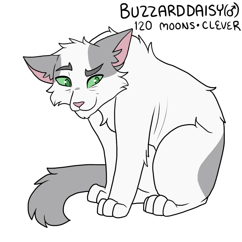 Buzzarddaisy's family line | Unofficial GalaxyClan Wiki | Fandom