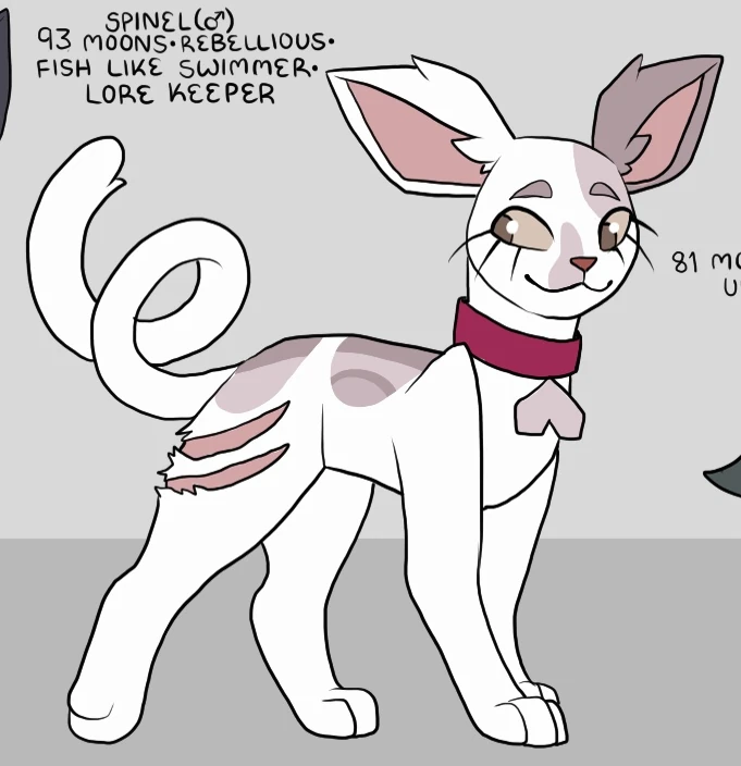 Spinel | Unofficial GalaxyClan Wiki | Fandom