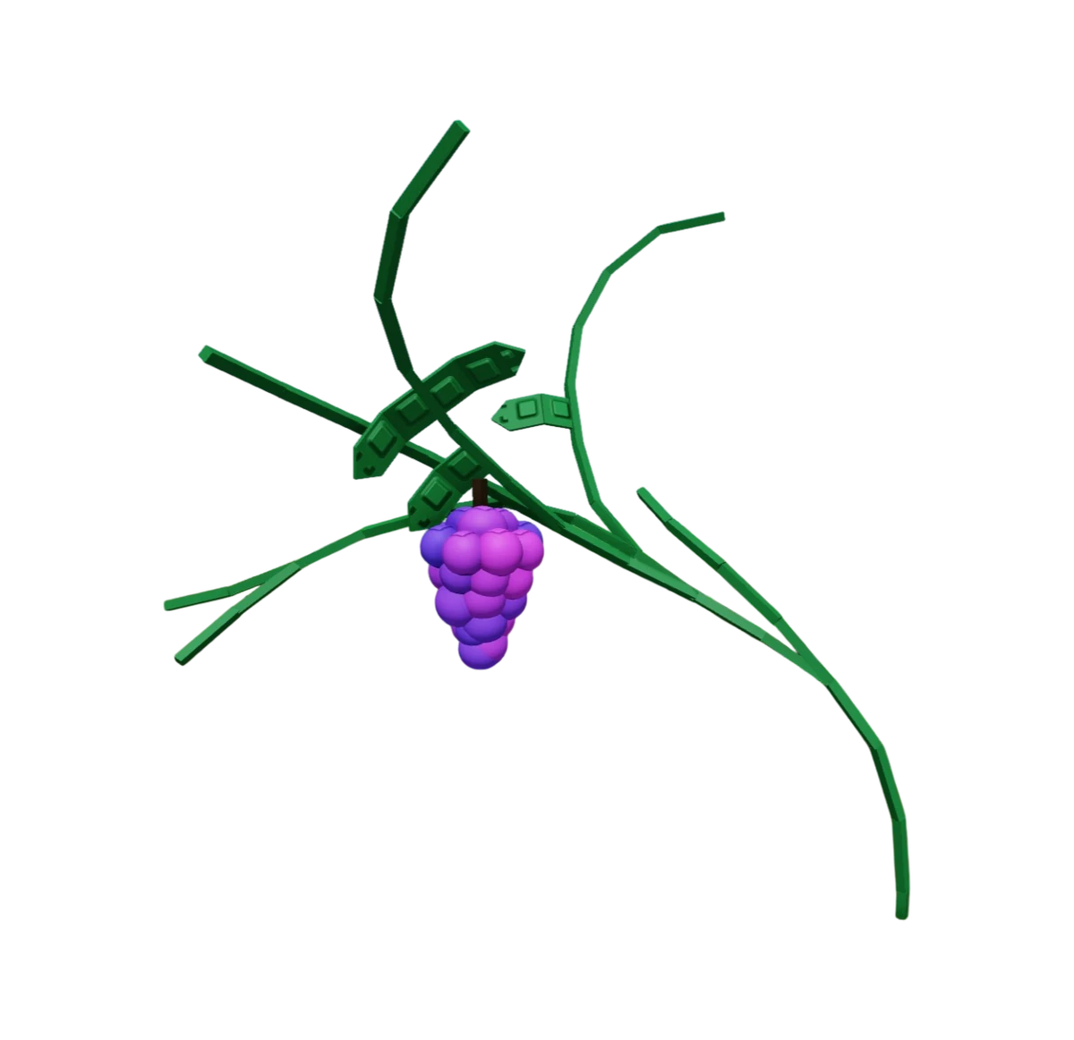 Grape (crop) | Unofficial Grow A Garden Wiki | Fandom