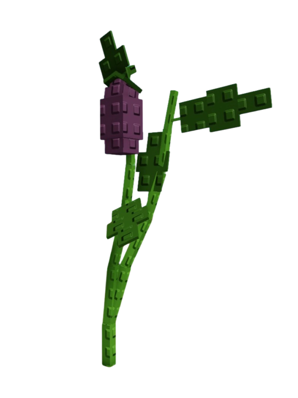 Eggplant Unofficial Grow A Garden Wiki Fandom