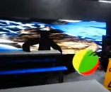 Uncle Steve | Unofficial Scary Baboon Wiki | Fandom