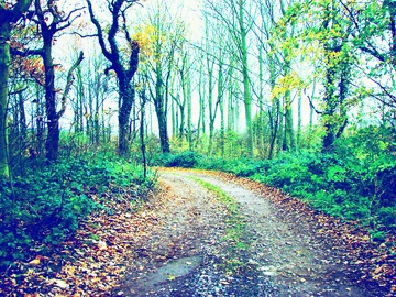 CODE NAME: Dr. Mann | Unofficial SCP Foundation Wiki | Fandom