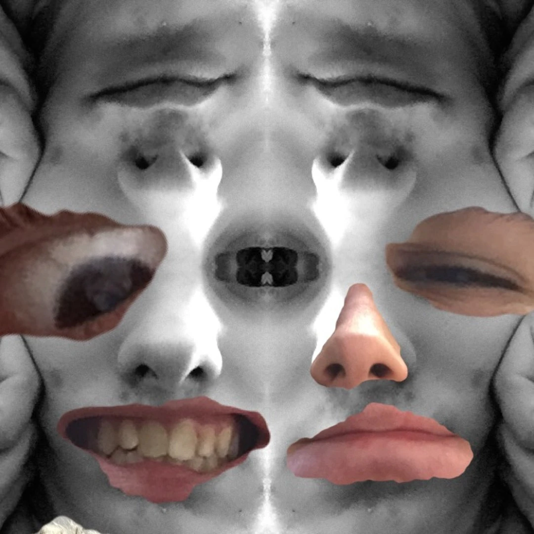 katzenjammer | STOMACH BOOK Wiki | Fandom