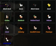 Birds | Roblox Beaks Wiki | Fandom