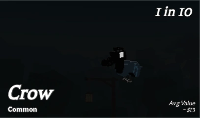Crow | Roblox Beaks Wiki | Fandom
