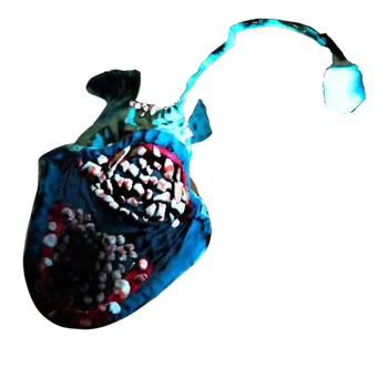 Angler Fish | Animal Company VR Wiki | Fandom