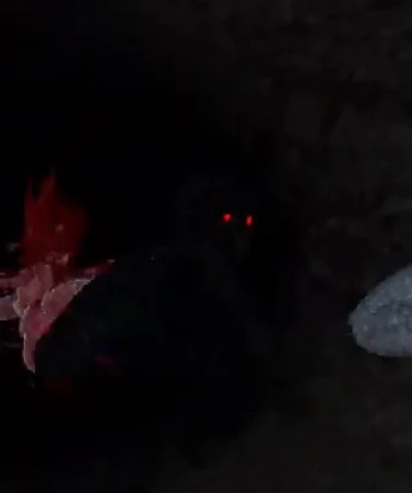 Caves Monster 2 | Scary Baboon Wiki | Fandom