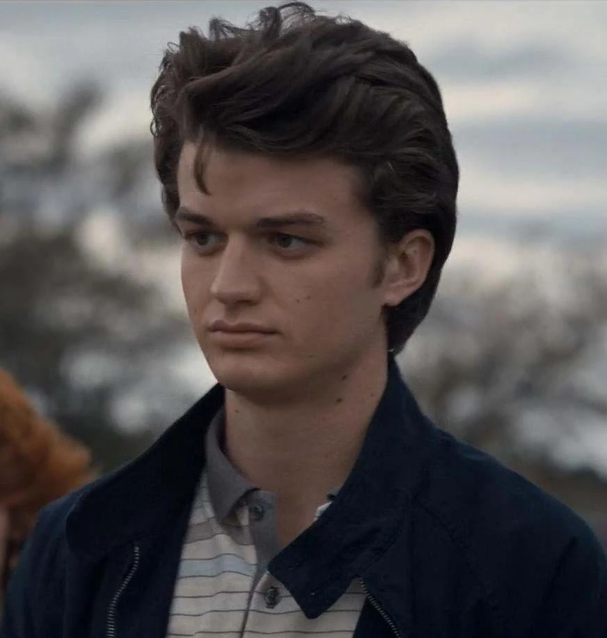 Steve Harrington | Unpublished Villains Wiki | Fandom