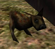 Nali Rabbit | Unreal Wiki | Fandom