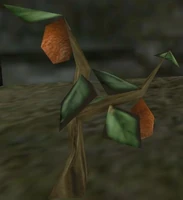 Nali Healing Fruit | Unreal Wiki | Fandom