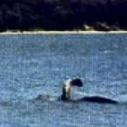 Champ The Lake Monster Of Lake Champlain