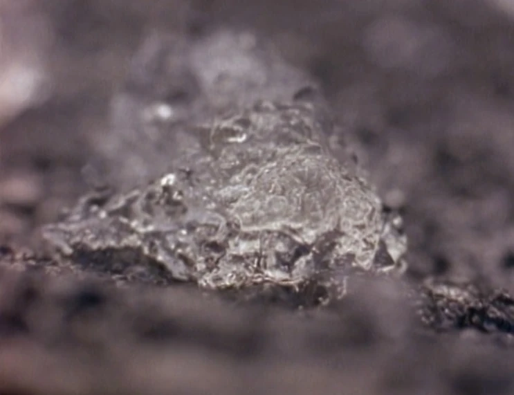 Oakville Blobs | Unsolved Mysteries Wiki | Fandom