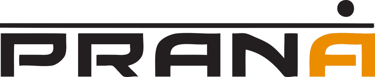 Prana Animation Studios | Unstable Fables Wiki | Fandom