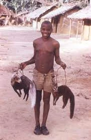 Aquatic Genet | Unsung Animals Wiki | Fandom