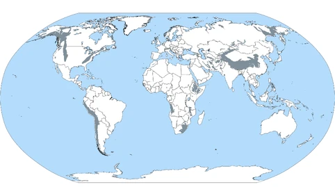 Category:Alpine | Unsung Animals Wiki | Fandom