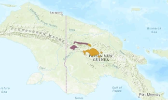 Ribbon-tailed Astrapia | Unsung Animals Wiki | Fandom