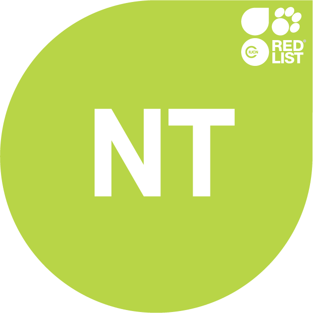 Category:IUCN Status | Unsung Animals Wiki | Fandom