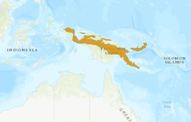 Dwarf Cassowary | Unsung Animals Wiki | Fandom