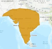 Indian Honey Badger | Unsung Animals Wiki | Fandom