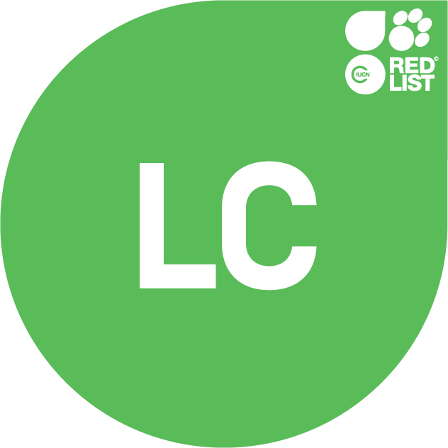 Category:Least Concern | Unsung Animals Wiki | Fandom