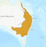 Lace Monitor (Tree Goanna) | Unsung Animals Wiki | Fandom