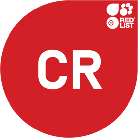 Category:Critically Endangered | Unsung Animals Wiki | Fandom