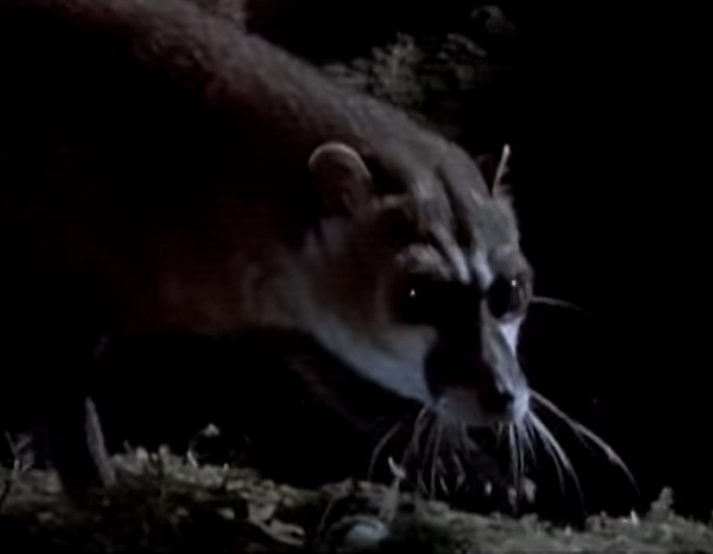 Aquatic Genet | Unsung Animals Wiki | Fandom