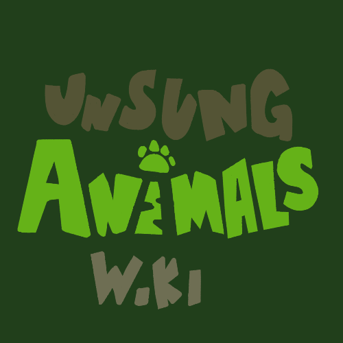 Yapok (Water Opossum) | Unsung Animals Wiki | Fandom