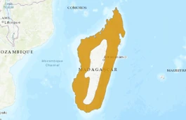 Fossa | Unsung Animals Wiki | Fandom