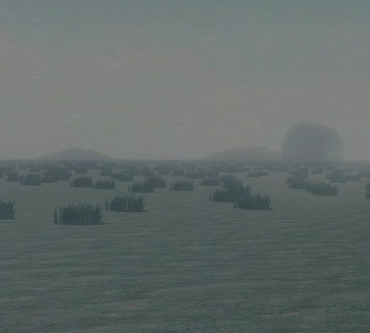 Level 10: "The Field" | Untitled Backrooms Experience Wiki | Fandom