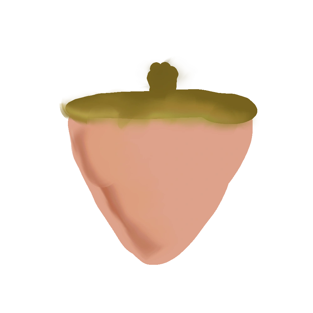 Acorn | Untitled Sandbox (official) Wiki | Fandom