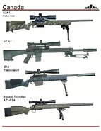 Timberwolf | Unturned Wiki ESP Wiki | Fandom