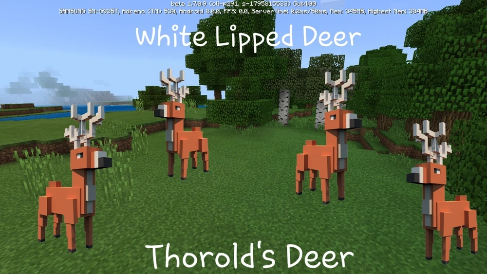 White Lipped Deer | UnusedMinecraftMobs Wiki | Fandom