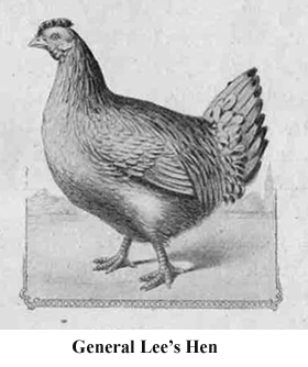 Robert E. Lee's chicken | Unusual American history Wiki | Fandom