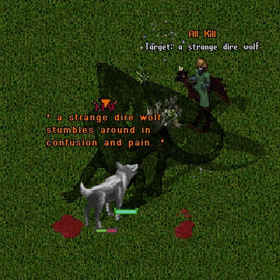 Quest and Monster Hunter Contracts | UO Evermore Wiki | Fandom