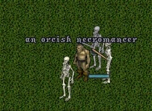 Orcish Necromancer | UO Phoenix Wiki | Fandom