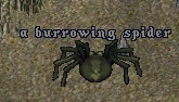 Burrowing Spider | UO Phoenix Wiki | Fandom