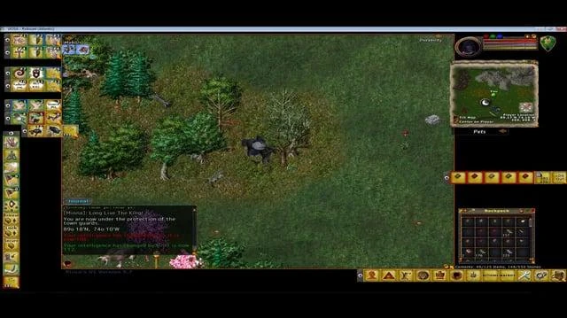 Animal Taming | Ultima Online Tutorials Wiki | Fandom