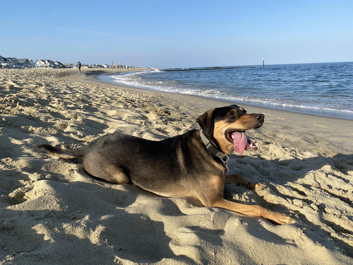 Stephanie Mathis | UpB3at! Wiki | Fandom