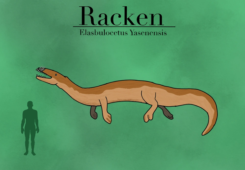 Racken | Urak-Tou Wiki | Fandom