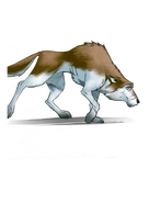 Lupila | Urban Rivals Wiki | Fandom