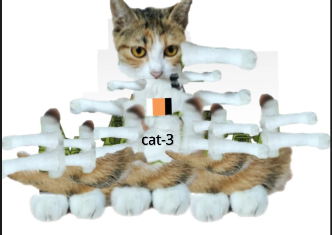 Cat3 | Urban archives of the mutant cat Wiki | Fandom