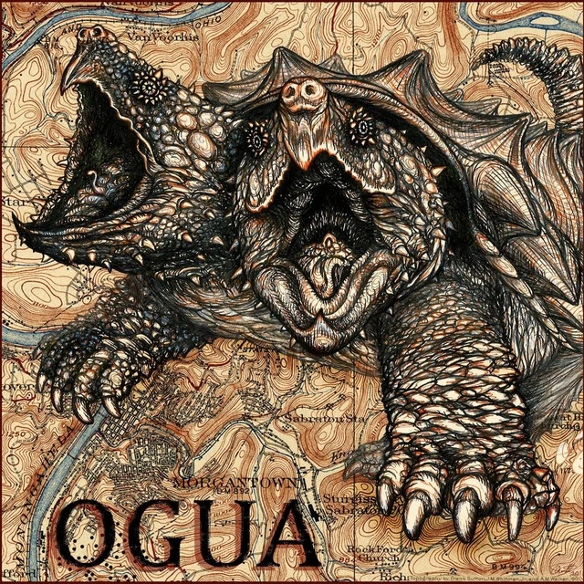 Ogua | Urban Legends Wiki | Fandom