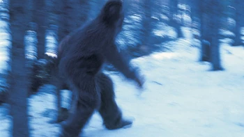 Bigfoot | Urban Legends Wiki | Fandom