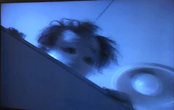 Lily-san | Urban Legends Wiki | Fandom