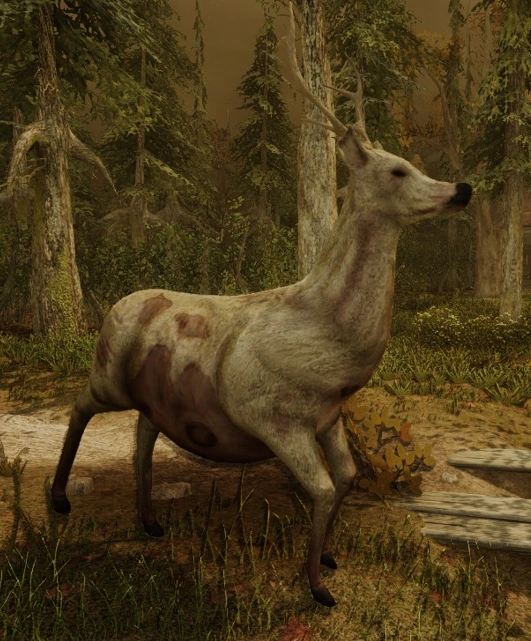 Deer | Urge Wiki | Fandom