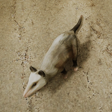 Opossum | Urge Wiki | Fandom