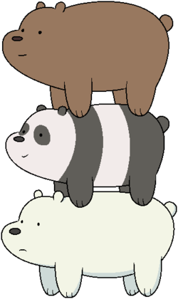 Os Ursos | Ursos Sem Curso Wiki | Fandom